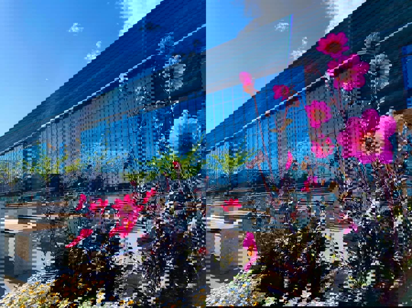 Velkommen til et nytt skoleår på Kuben videregående skole